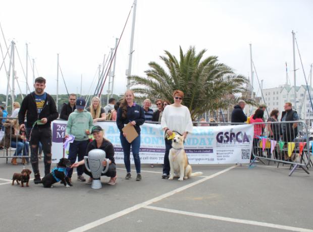 Fun Dog Show Classes at the Animal Welfare Seafront Sunday 13th September | GSPCA Guernsey